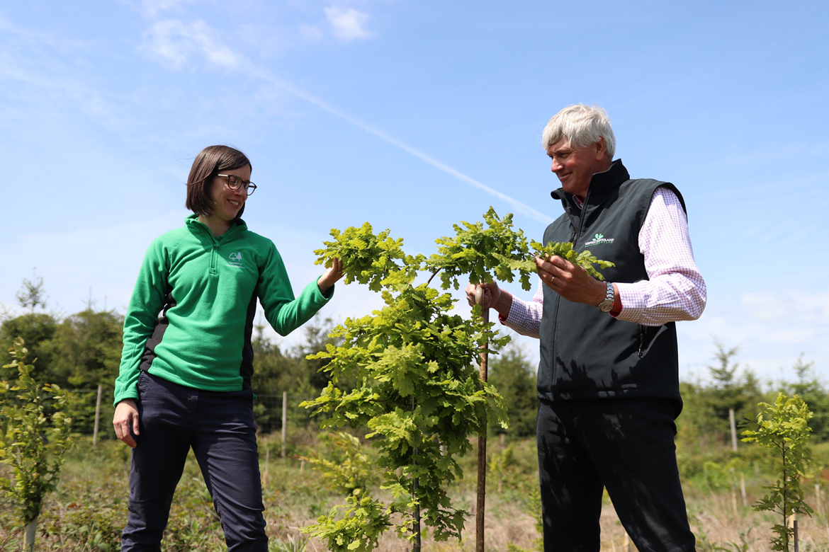 HS2 Woodland Fund projects – High-Speed Rail Group
